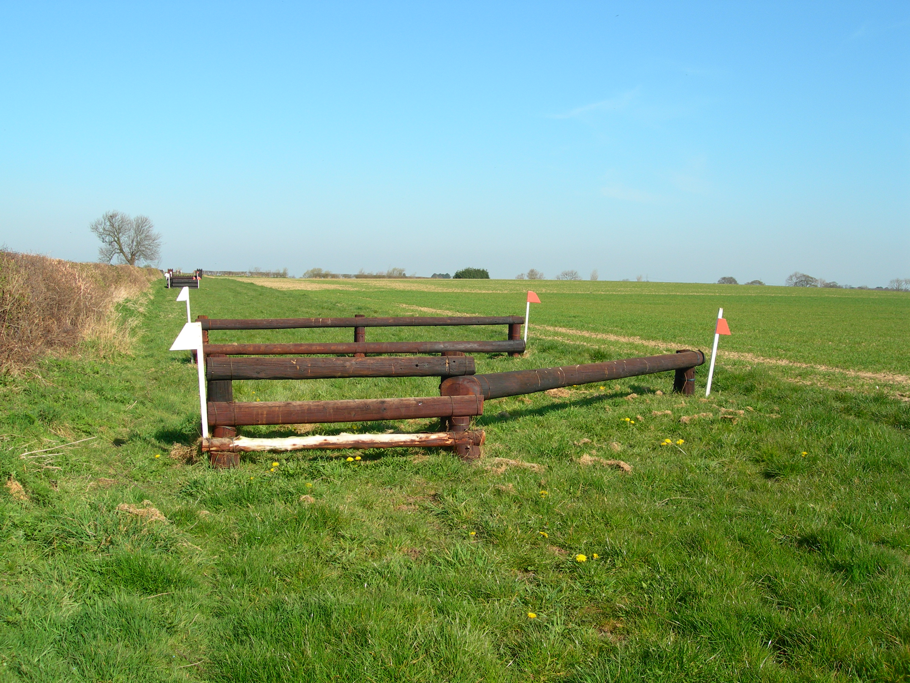 Double – Courses for Horses